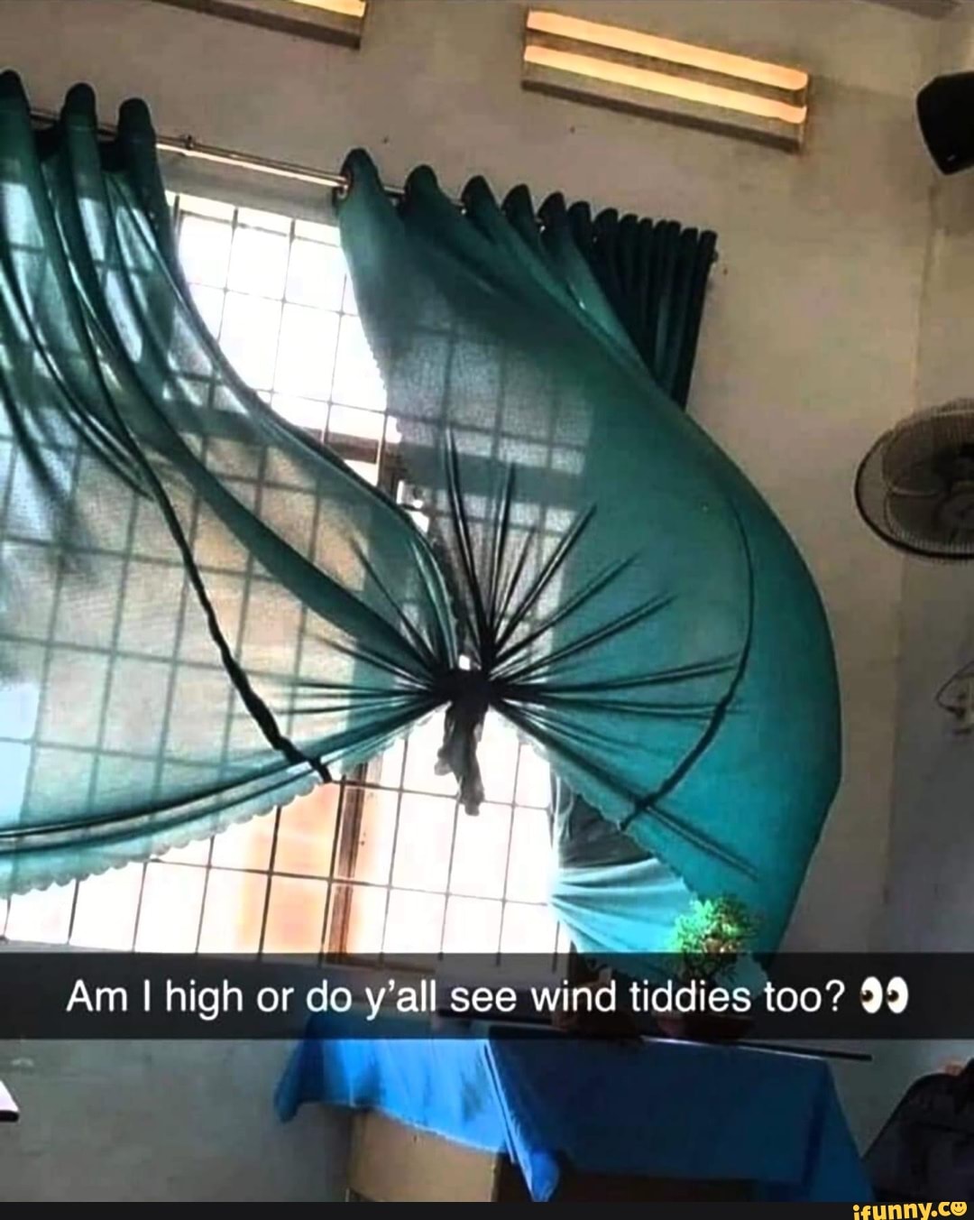 Tiddi memes. Best Collection of funny Tiddi pictures on iFunny