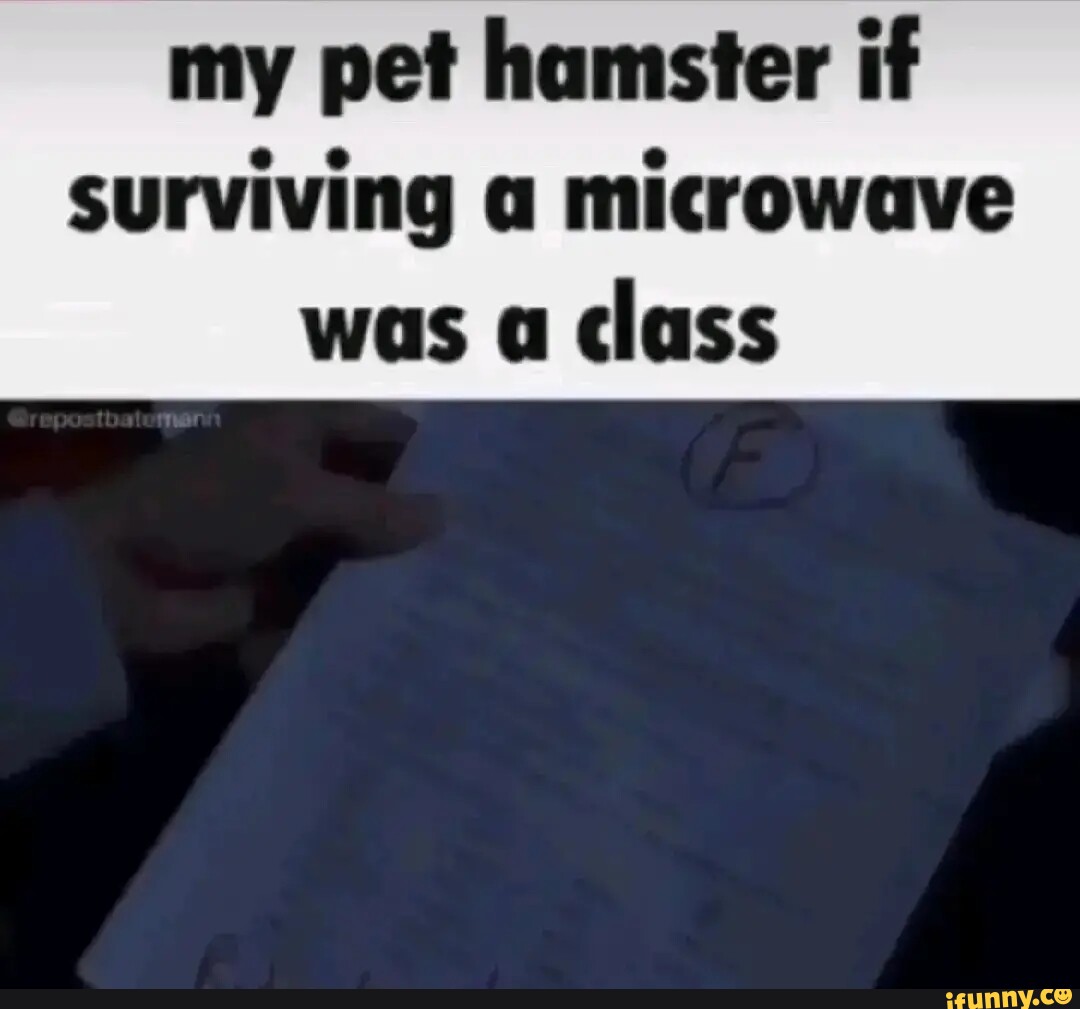 My pet hamster if surviving a microwave was a class - iFunny