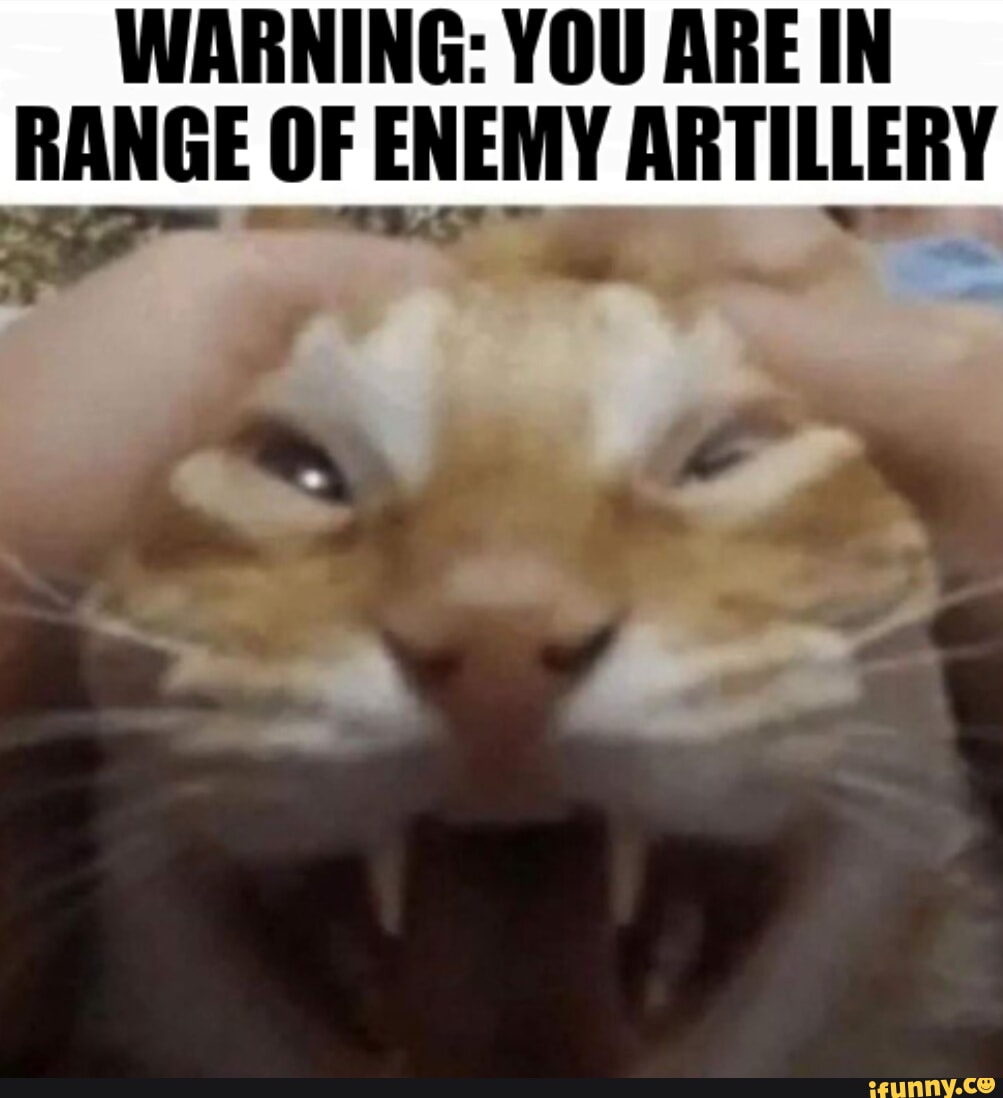 WARNING: YOU ARE IN RANGE OF ENEMY ARTILLERY - iFunny