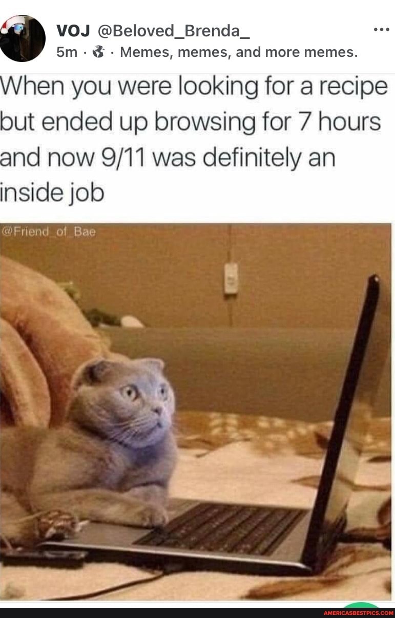 VOJ @Beloved_Brenda_ - - Memes, memes, and more memes. hen you were ...