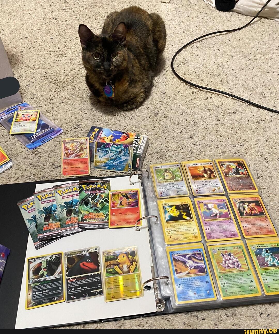 Trading_cards memes. Best Collection of funny Trading_cards pictures on ...