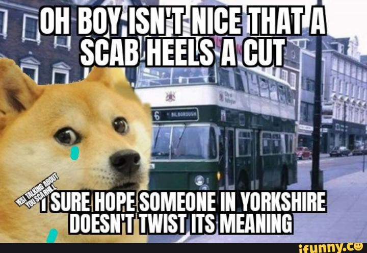 Scarhill memes. Best Collection of funny Scarhill pictures on iFunny