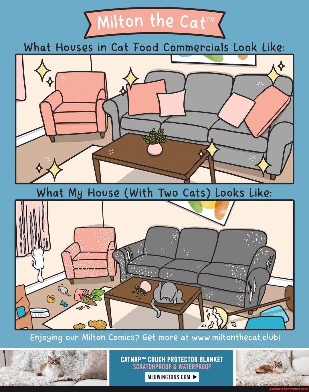 Embrace the chaos. 😼 - M ton the Cat" What Houses in Cat Food ...