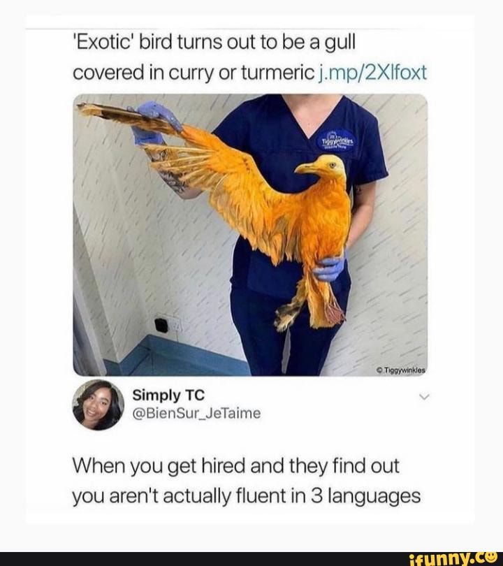 Jetame memes. Best Collection of funny Jetame pictures on iFunny
