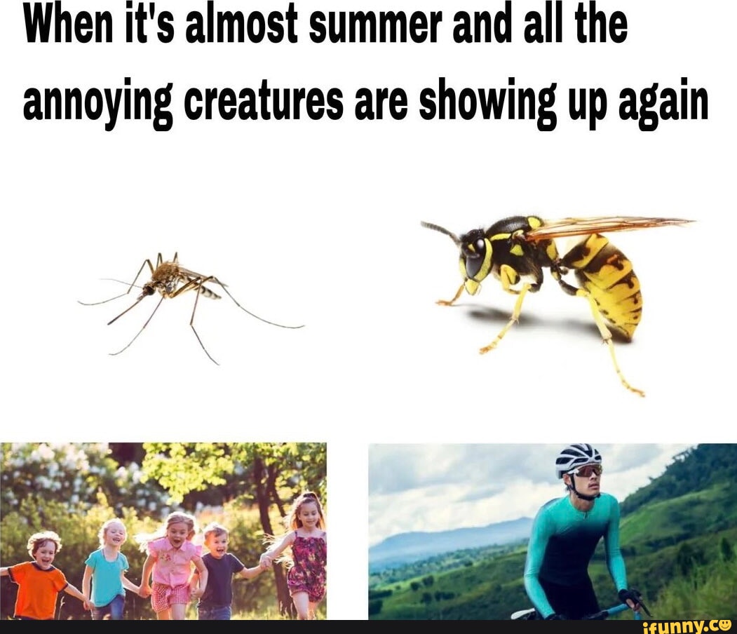 Showing memes. Best Collection of funny Showing pictures on iFunny