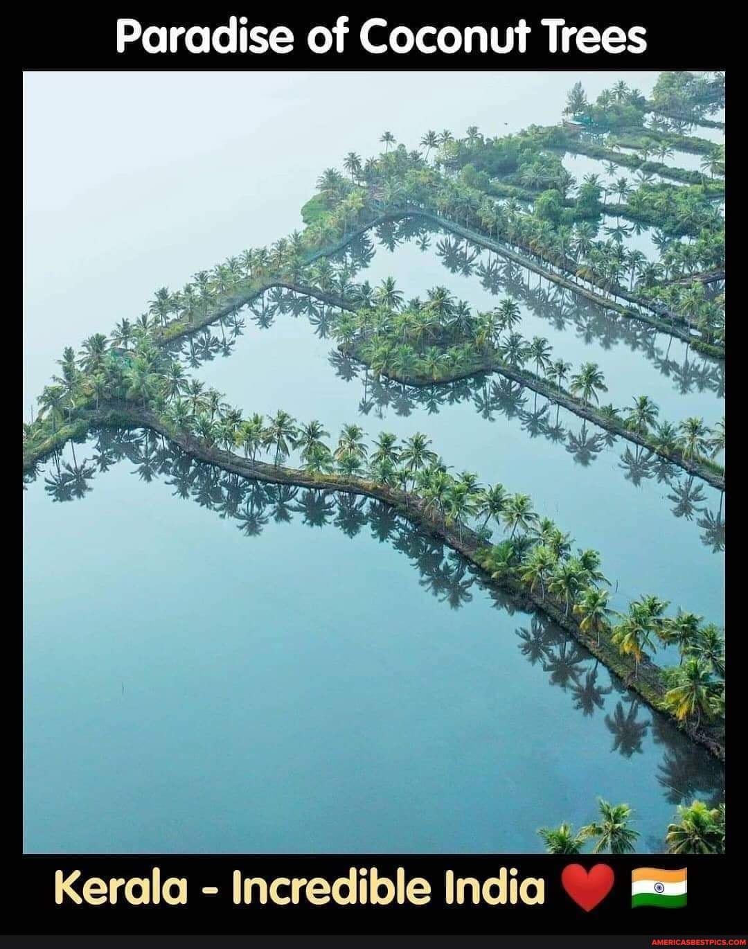 Paradise of Coconut Trees Kerala - Incredible India - America’s best ...