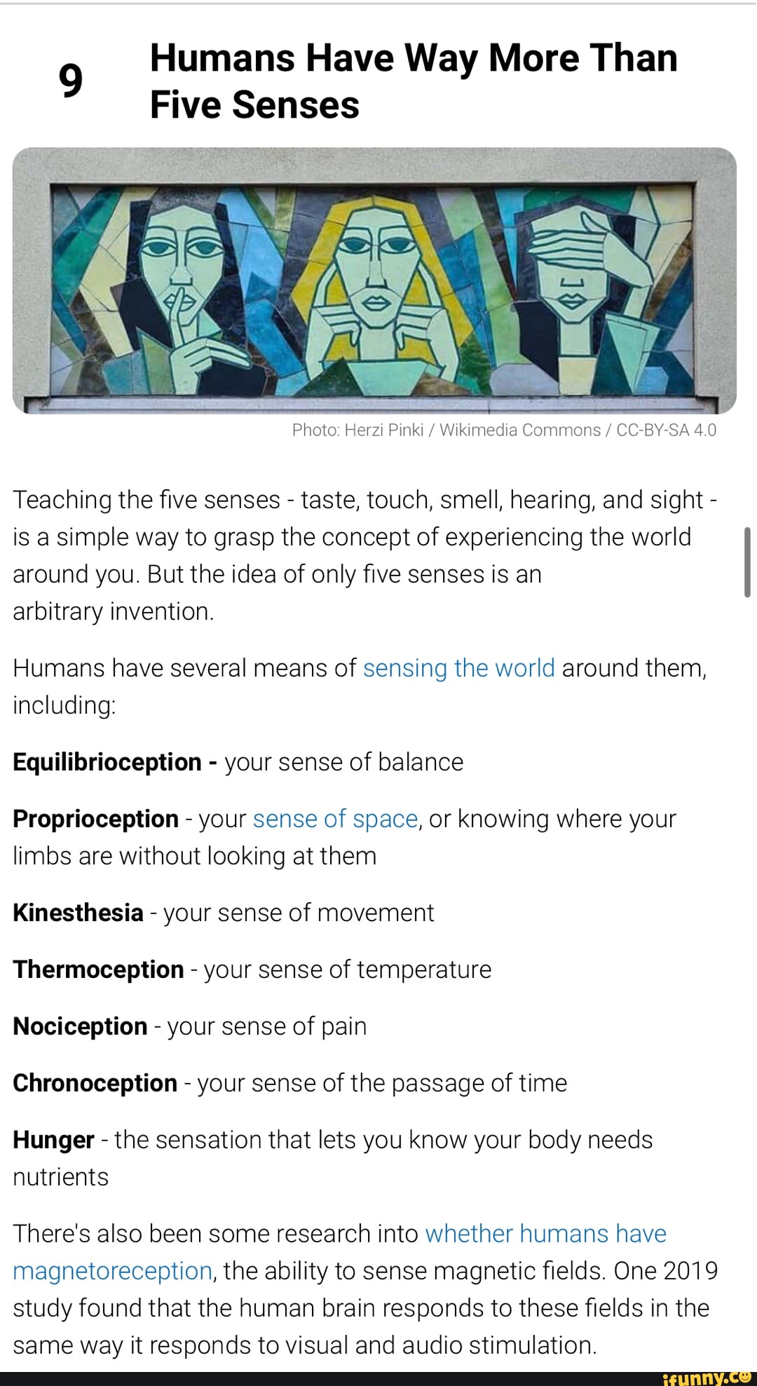 Video memes 5A5TL2hR8 by arlenesullivan: 363 comments - iFunny