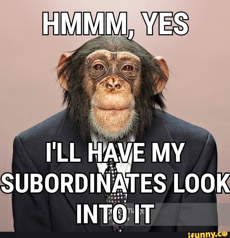 HMMM, YES I'LL HAVE MY SUBORDINATES LOOK INTO IT - iFunny