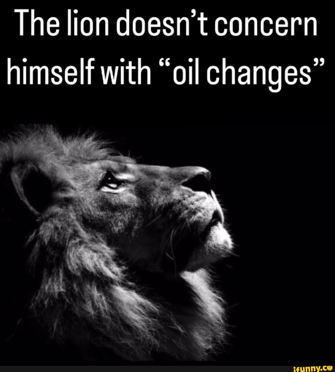 The lion doesn't concern himself with "oil changes" - iFunny