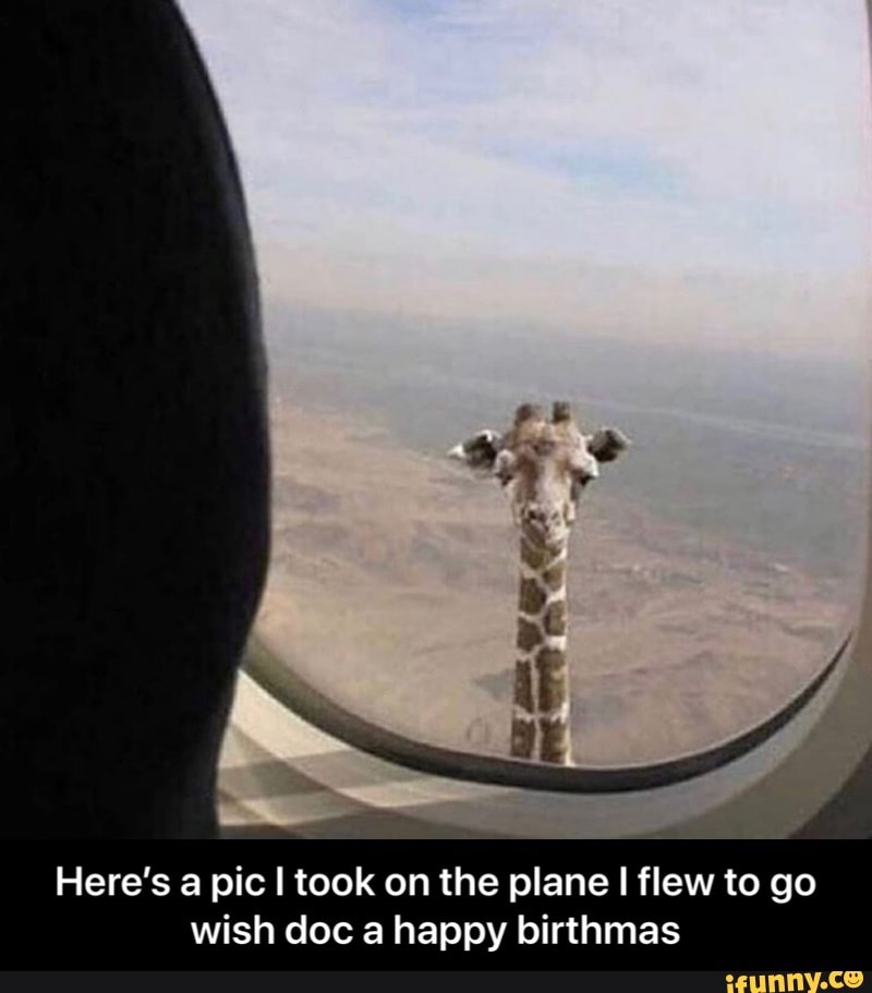 Birthmas memes. Best Collection of funny Birthmas pictures on iFunny