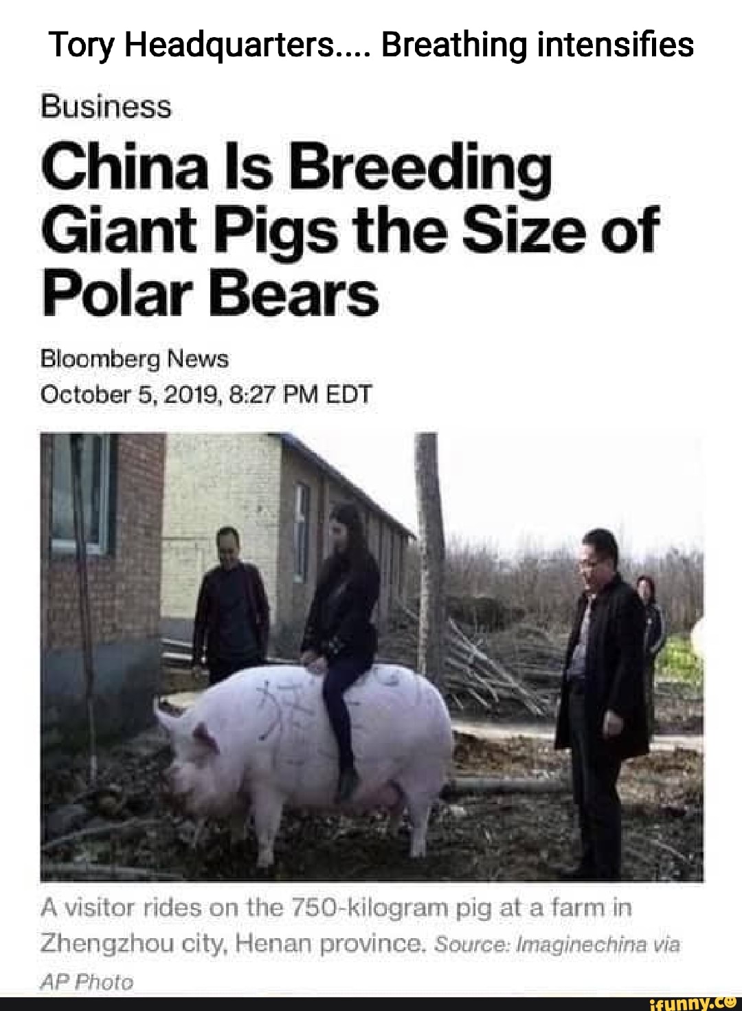 Tory Headquarters.... Breathing intensifies Business China Is Breeding ...