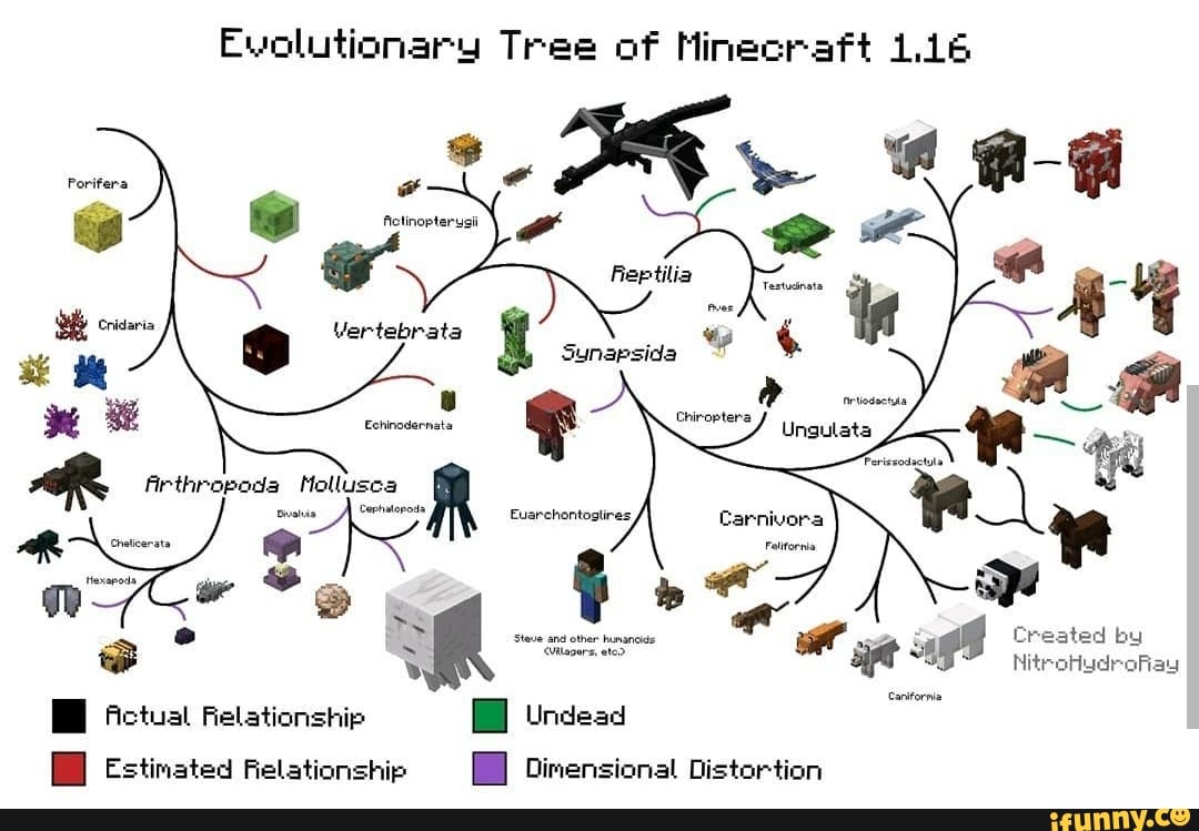 Evolutionary Tree of Minecraft 1.16 e IB Actual Relationship IB undead ...