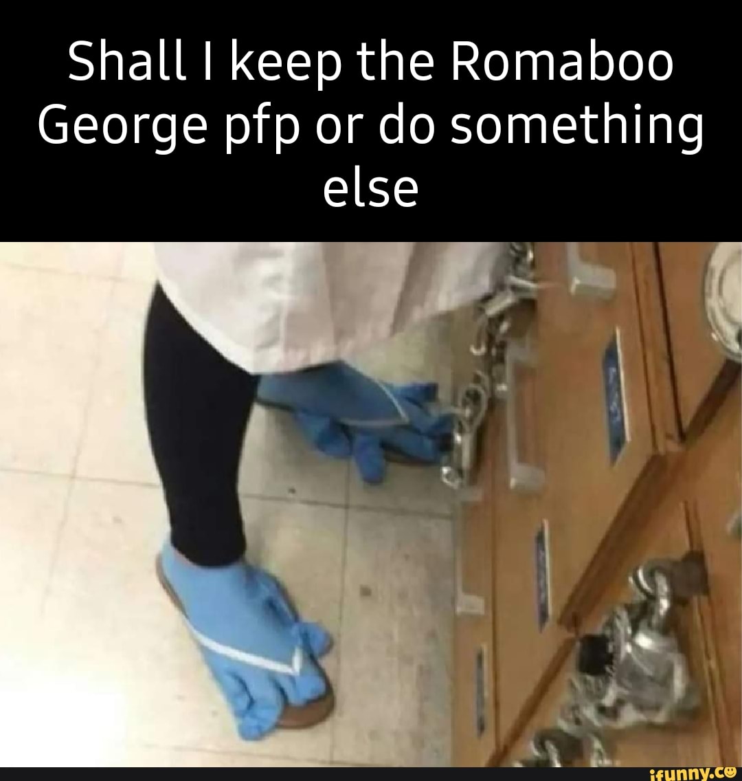 Shall I keep the Romaboo George pfp or do something else - iFunny