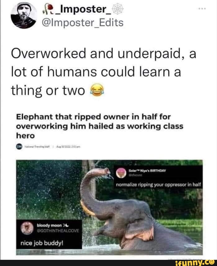 Overworked memes. Best Collection of funny Overworked pictures on iFunny