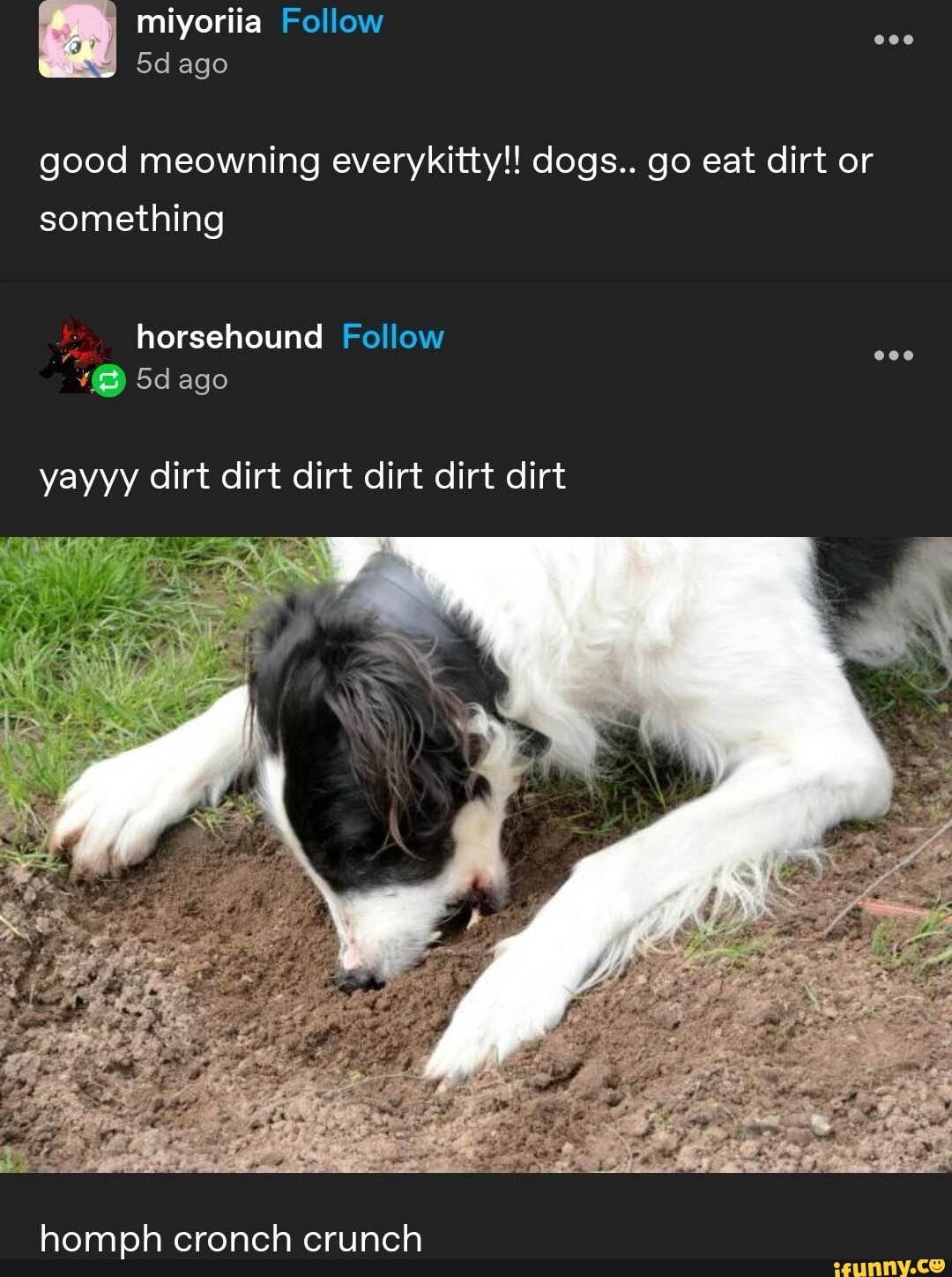 Miyoriia Follow ago good meowning everykitty!! dogs.. go eat dirt or ...