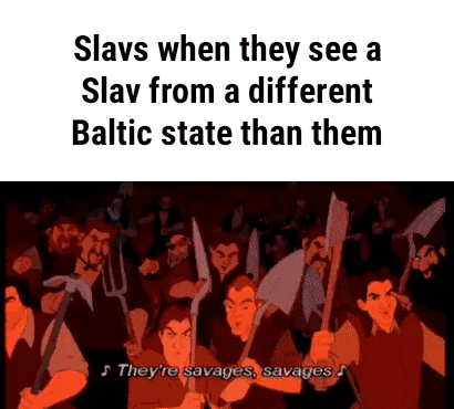 Slavs when they see a Slav from a different Baltic state than them - iFunny