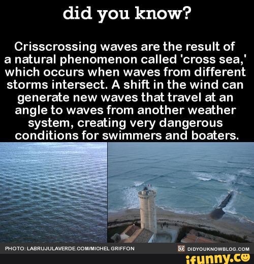 Did you know? Crisscrossing waves are the result of a natural ...