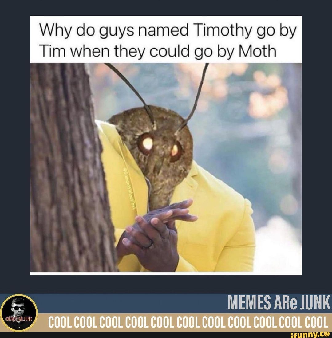 Why do guys named Timothy go by Tim when they could go by Moth MEMES ...
