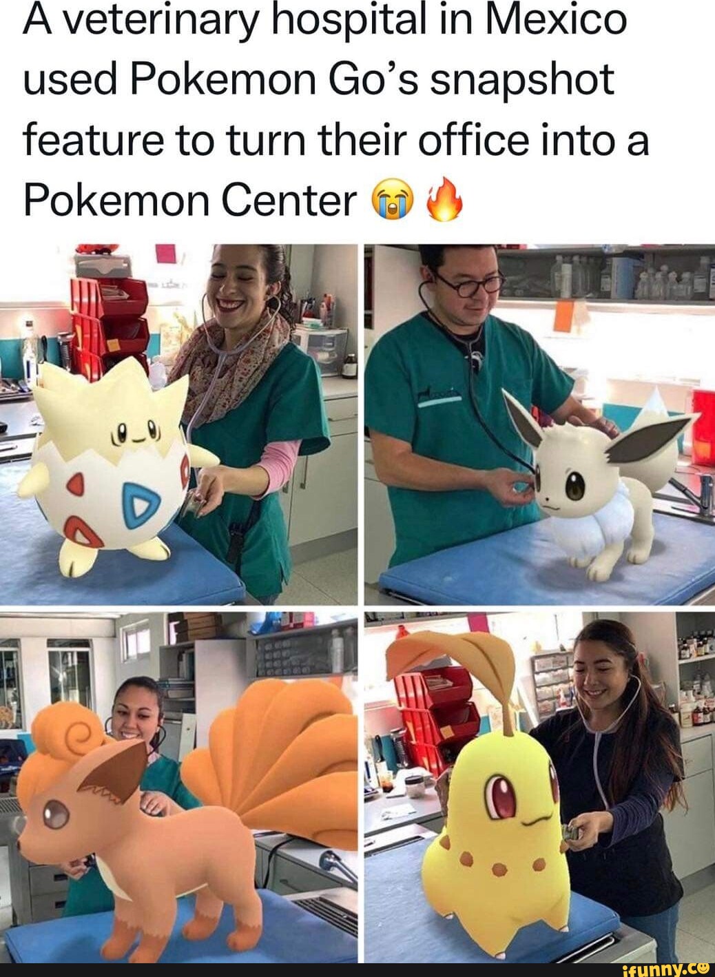 Veterinary hospital in Mexico used Pokemon Go's snapshot feature to ...