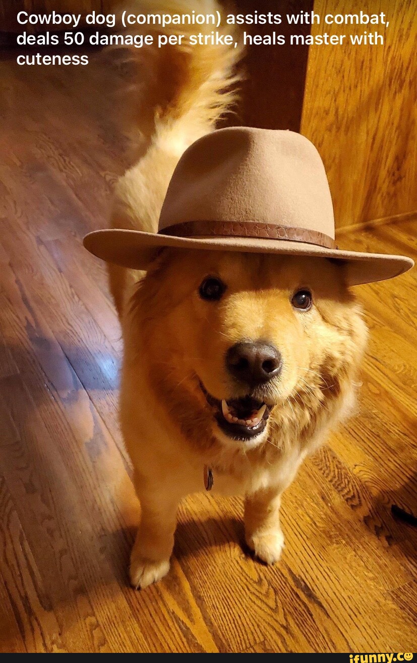 Picture memes oopnsixKA by ToNosBeck - iFunny