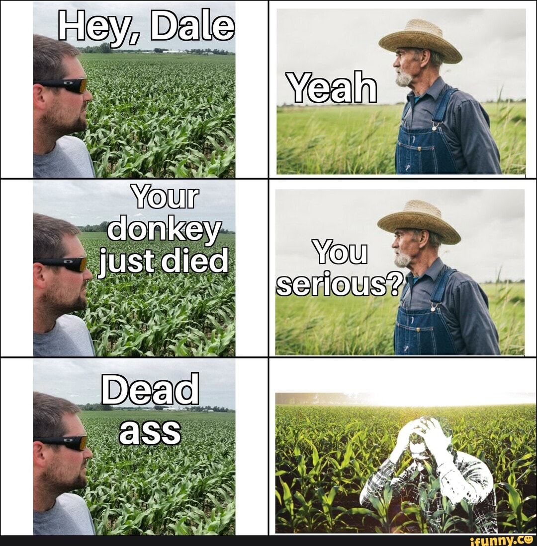 Hey, Dale Yeah "Your donkey just died You serious? Dead ass - iFunny