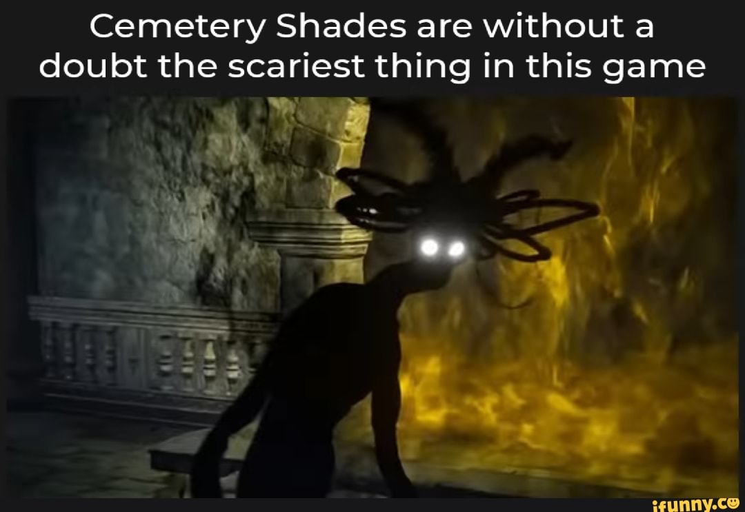 Cemetery memes. Best Collection of funny Cemetery pictures on iFunny