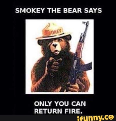 SMOKEY THE BEAR SAYS ONLY YOU CAN RETURN FIRE. - iFunny