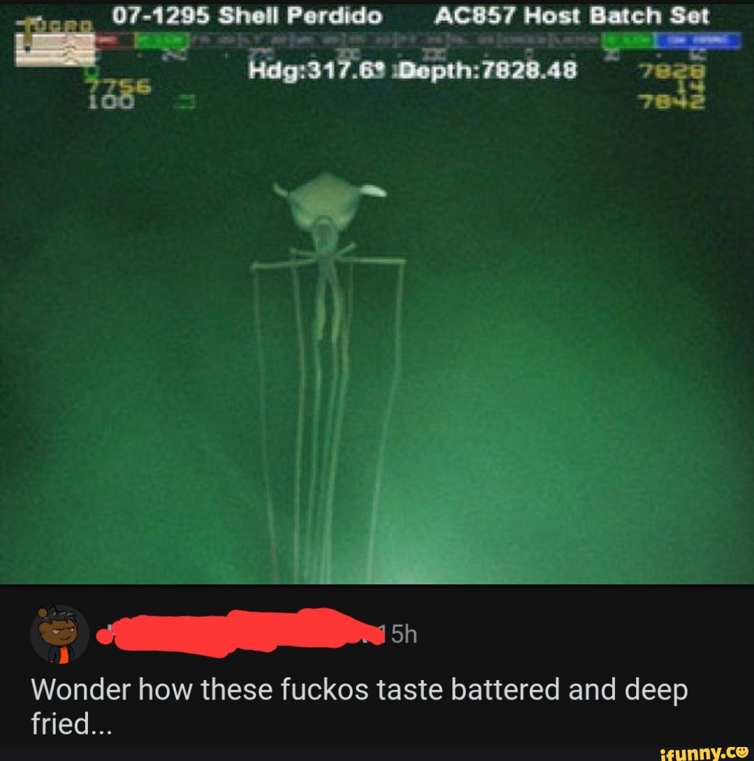 07-1295 Shell Perdido AGES? Host Batch Set 7 Wonder how these fuckos taste battered and deep ...