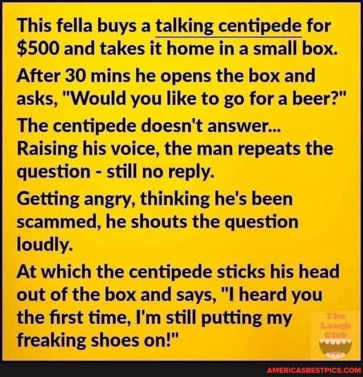 This fella buys a talking centipede for $500 and takes it home in a ...