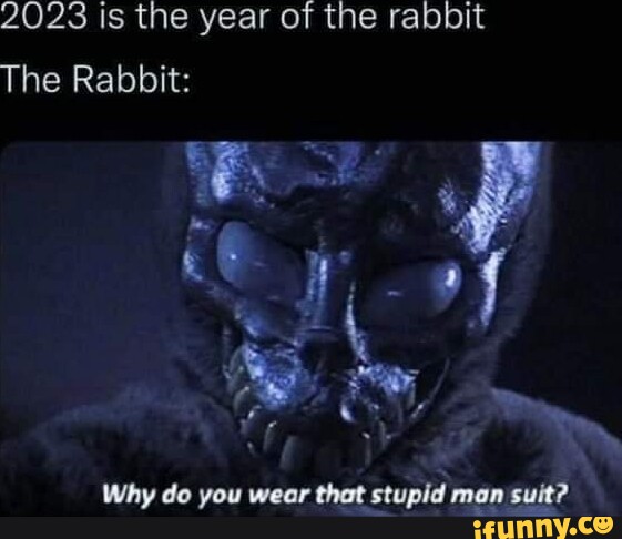2023 is the year of the rabbit The Rabbit: Why do you wear that stupid ...