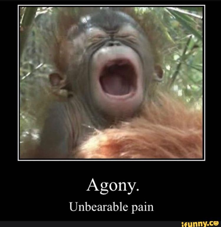 Agony. Unbearable pain - iFunny