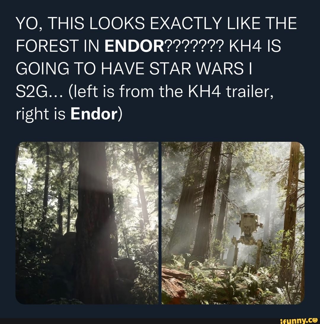 (left is from the trailer, right is Endor) YO, THIS LOOKS EXACTLY LIKE ...