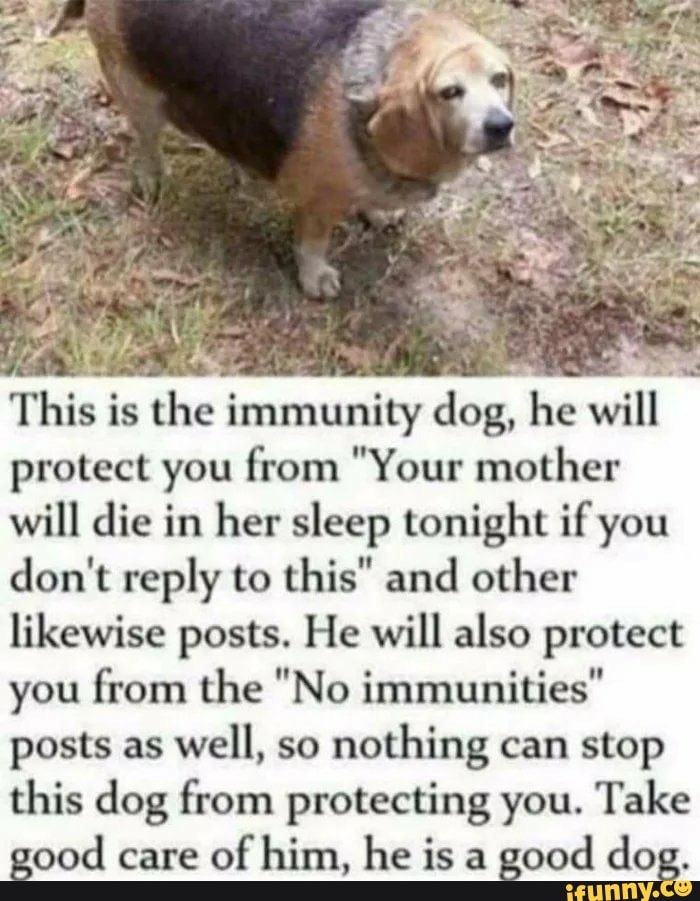 This is the immunity dog, he will protect you from "Your mother will ...
