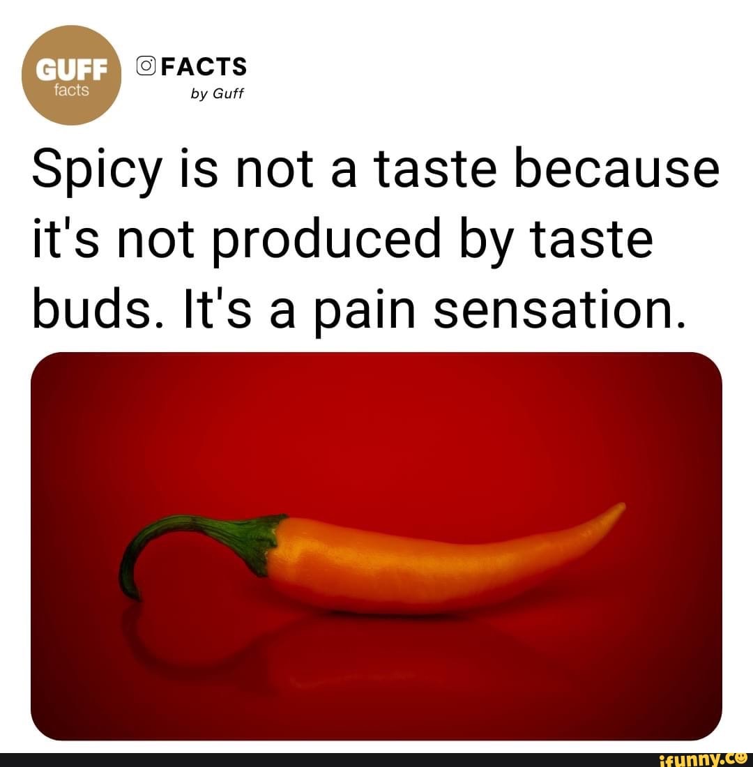 @FACTS facts by Guff Spicy is not a taste because it's not produced by ...