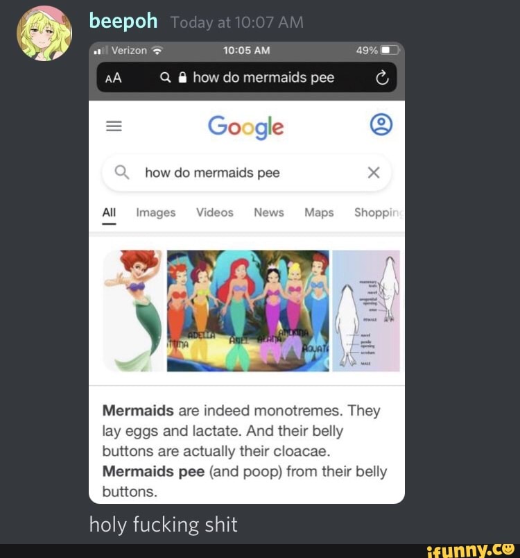 Monotremes memes. Best Collection of funny Monotremes pictures on iFunny