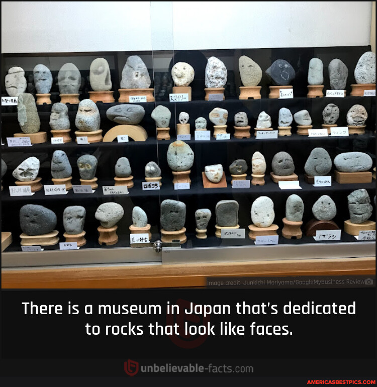 N/A - There is a museum in Japan that's dedicated to rocks that look ...