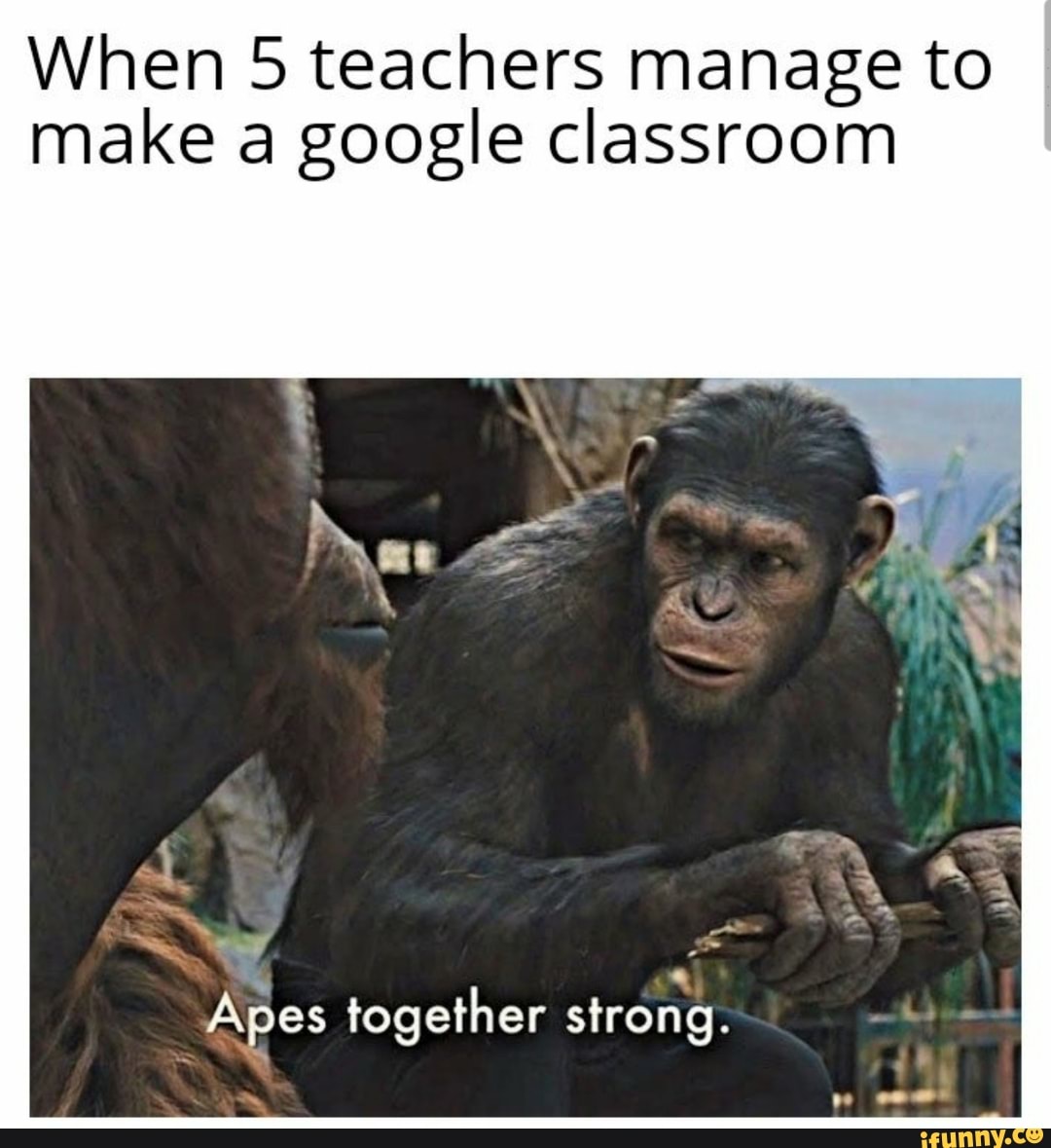 When 5 Teachers Manage To Make A Google Classroom Apes Together Strong 
