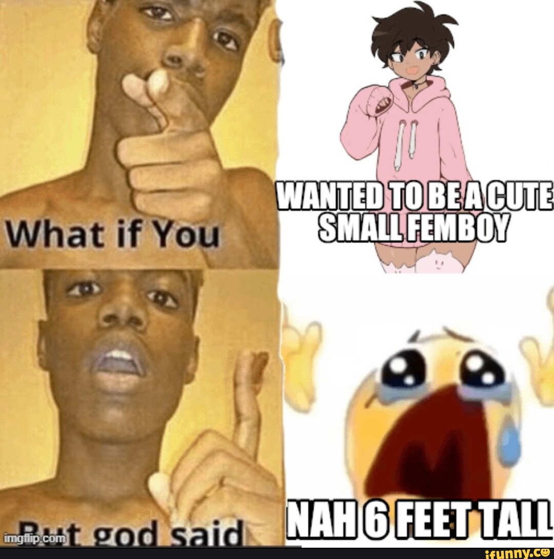 What if You WANTED TO BEACUTE SMALL FEMBOY NAHIG FEET TALL - iFunny