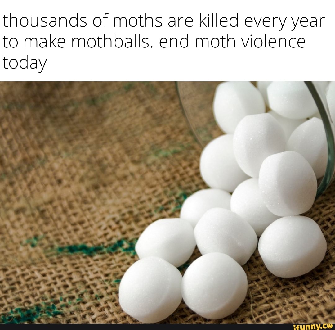 Mothballs memes. Best Collection of funny Mothballs pictures on iFunny
