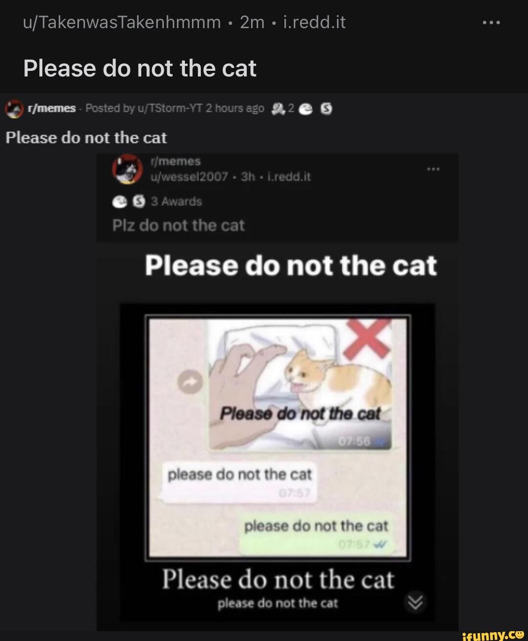 I.redd.it Please do not the cat /memes TSt es Please do not the cat ...