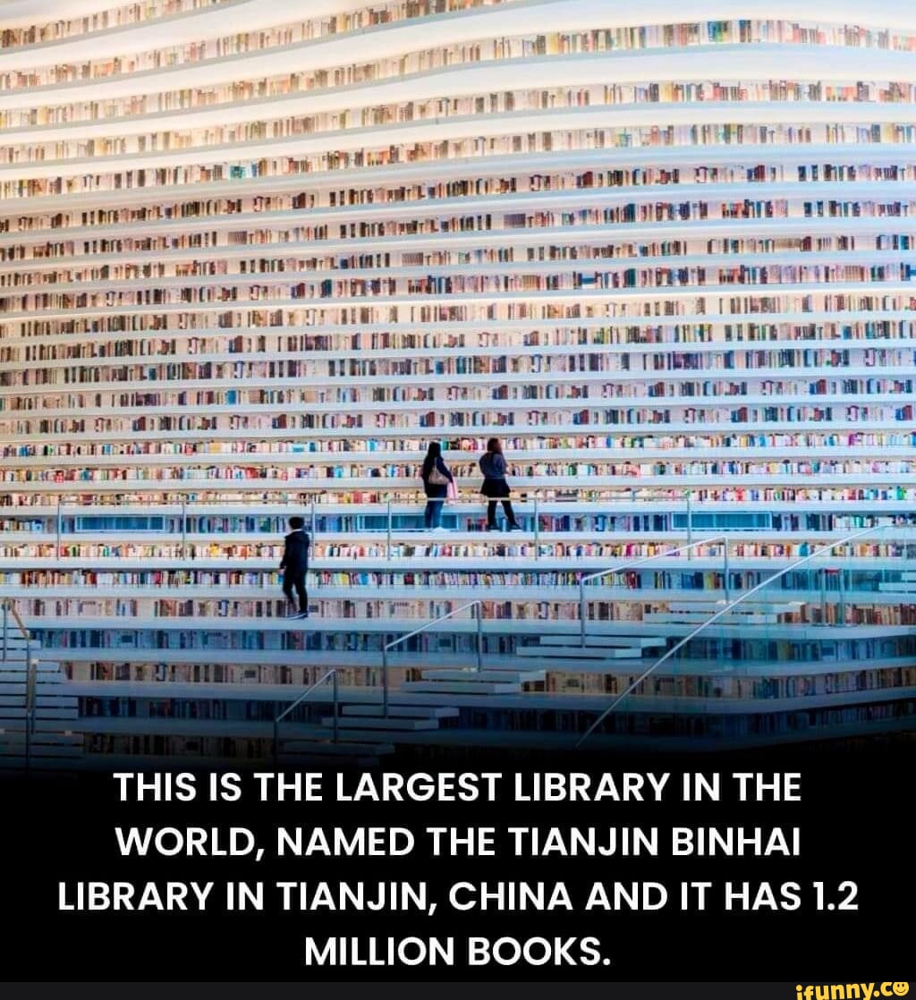 Tianjin memes. Best Collection of funny Tianjin pictures on iFunny