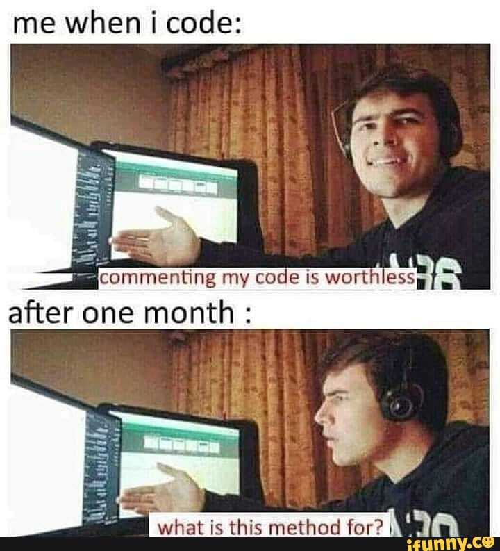 Me when codes =commenting my code worth after one month - iFunny