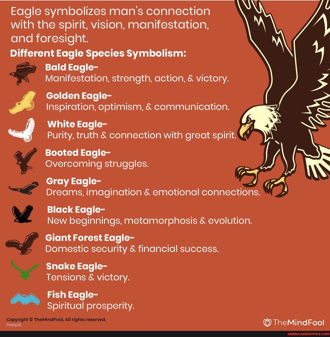 Eagle symbolizes man's connection with the spirit, vision ...