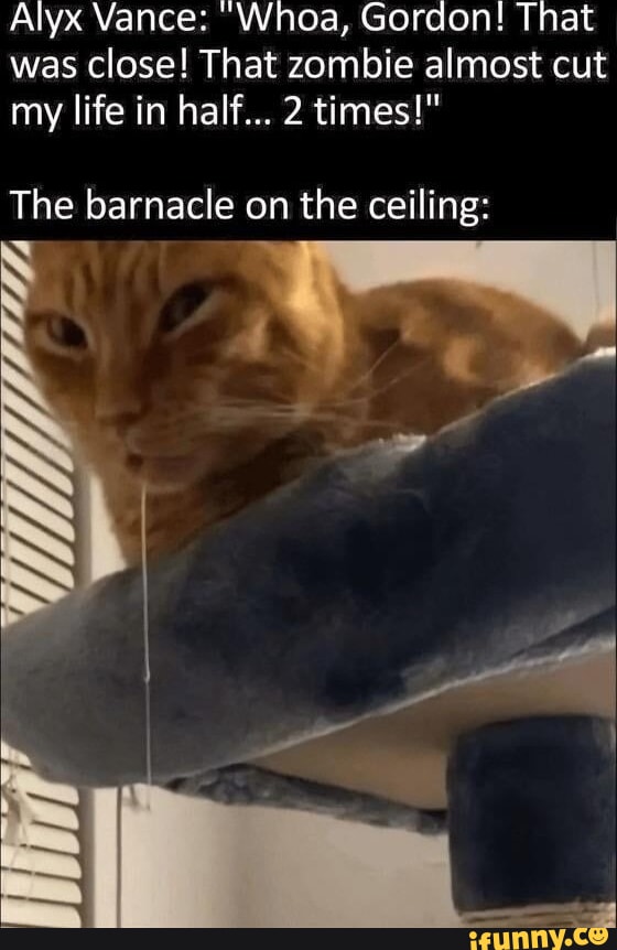 Barnacle Memes