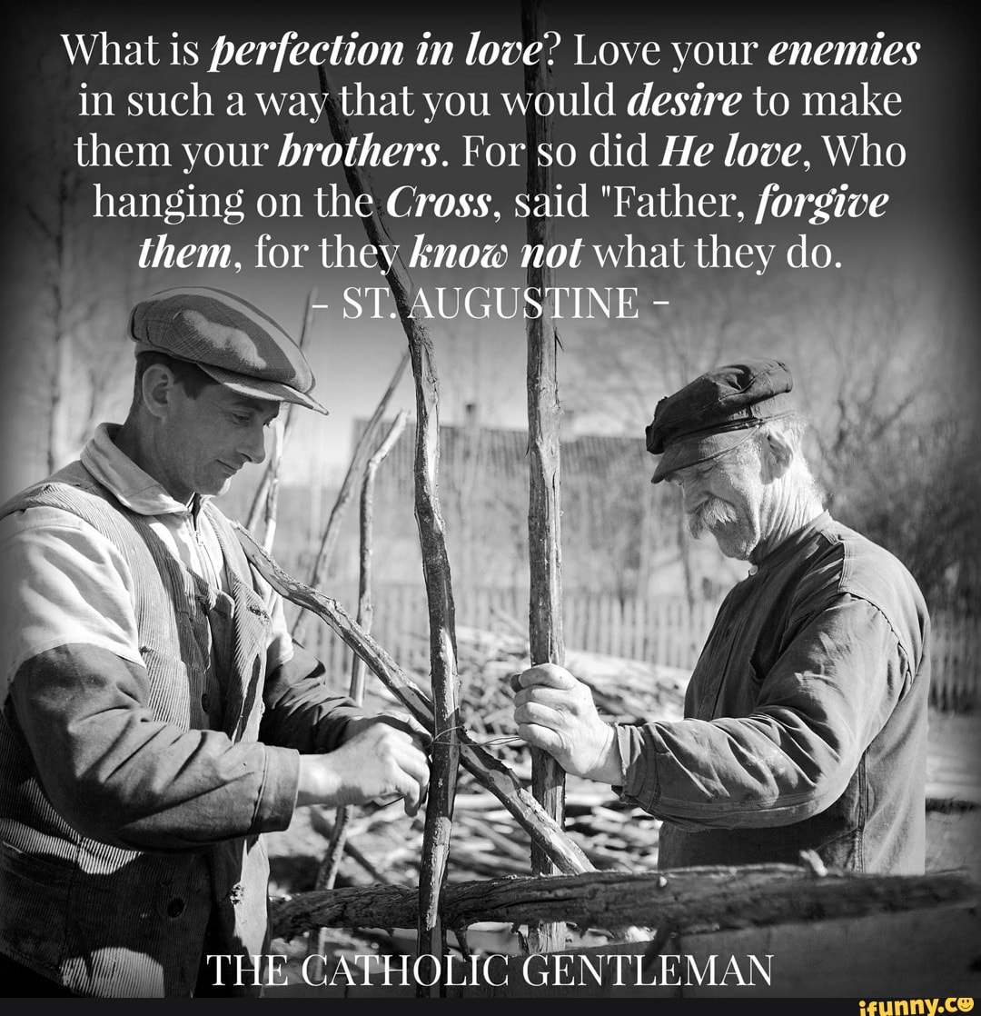 Augustine memes. Best Collection of funny Augustine pictures on iFunny