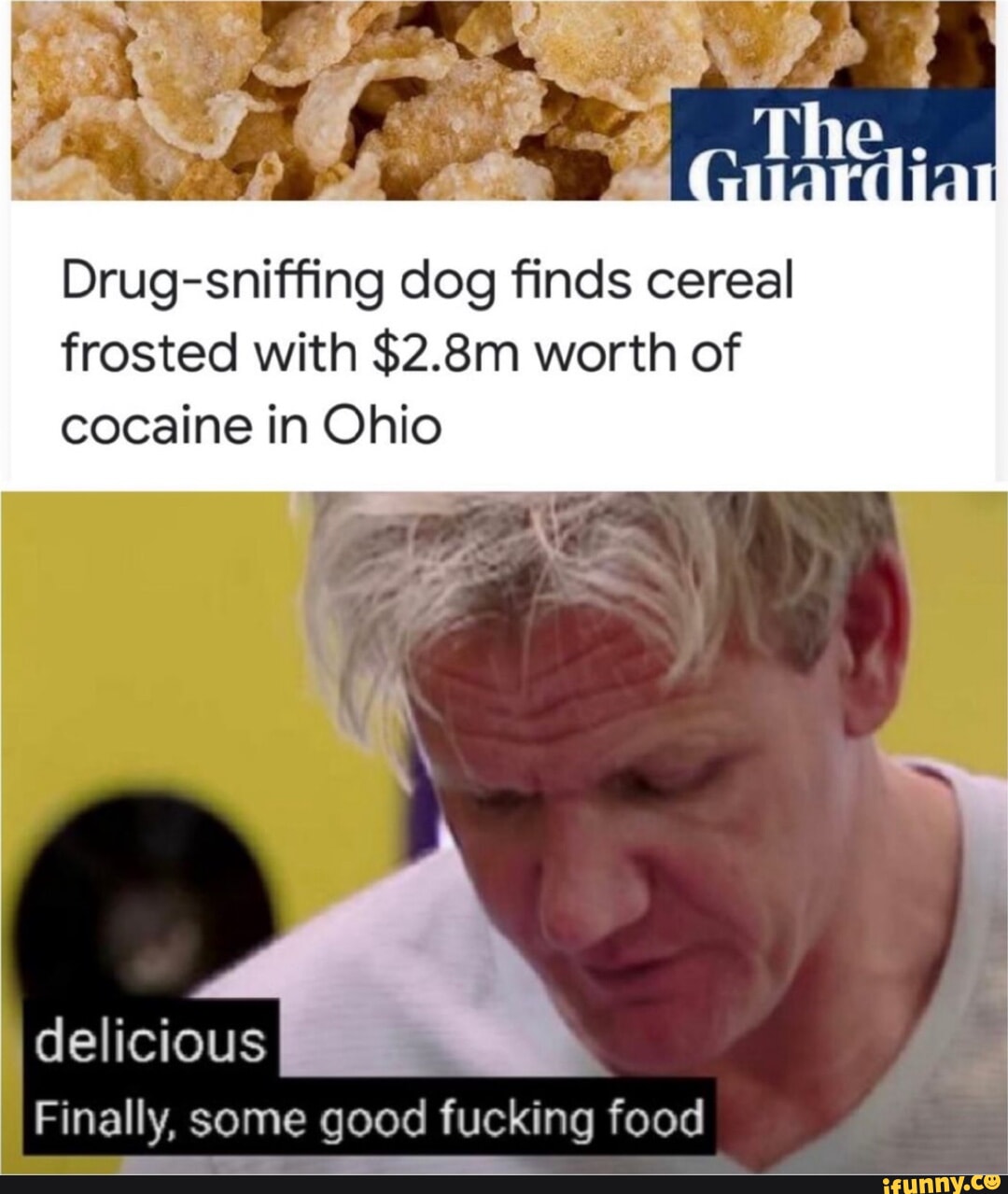 Drug-sniffing dog finds cereal frosted with $2.8m worth of cocaine in ...