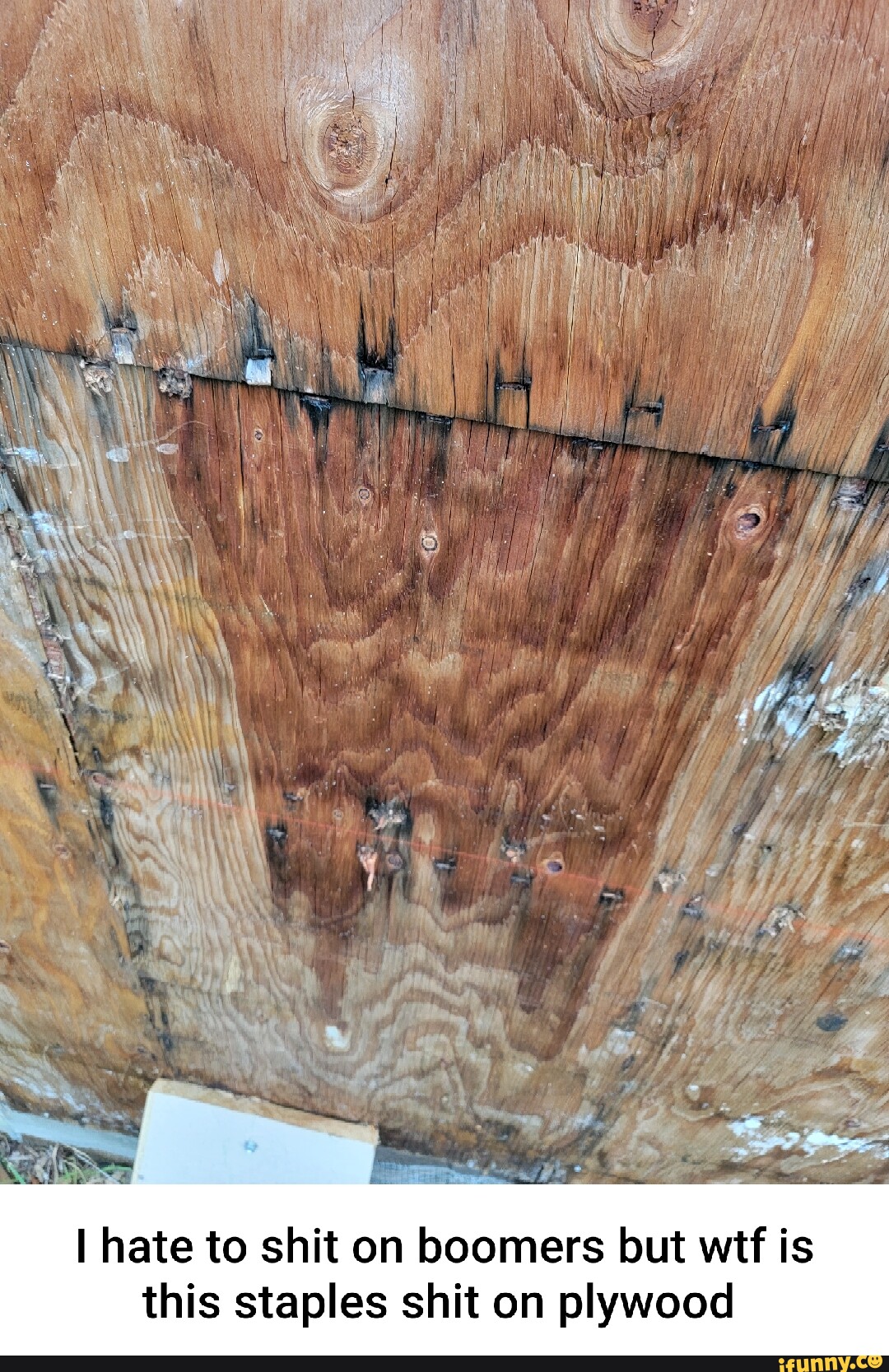 Plywood memes. Best Collection of funny Plywood pictures on iFunny