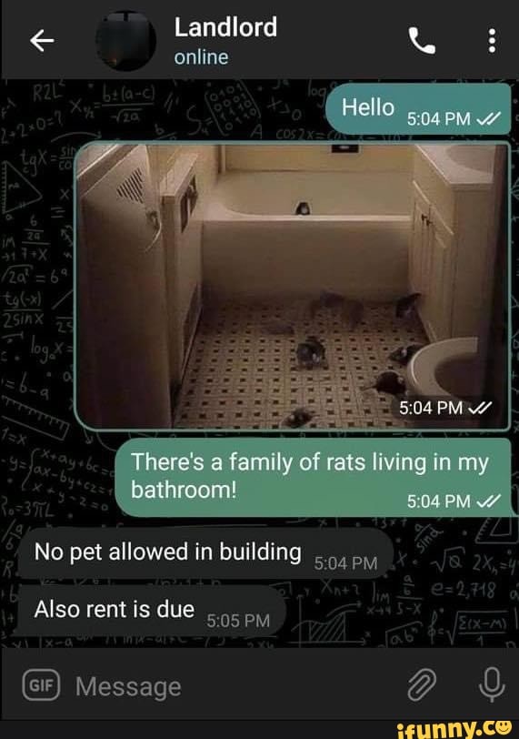 Landlord online Hell There's a family of rats living in my bathroom! PM ...