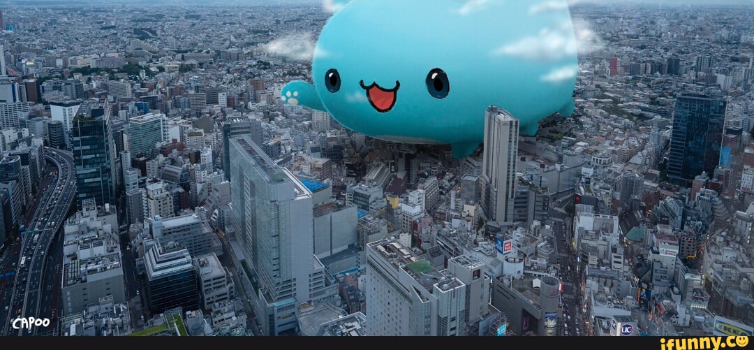 Capoo memes. Best Collection of funny Capoo pictures on iFunny