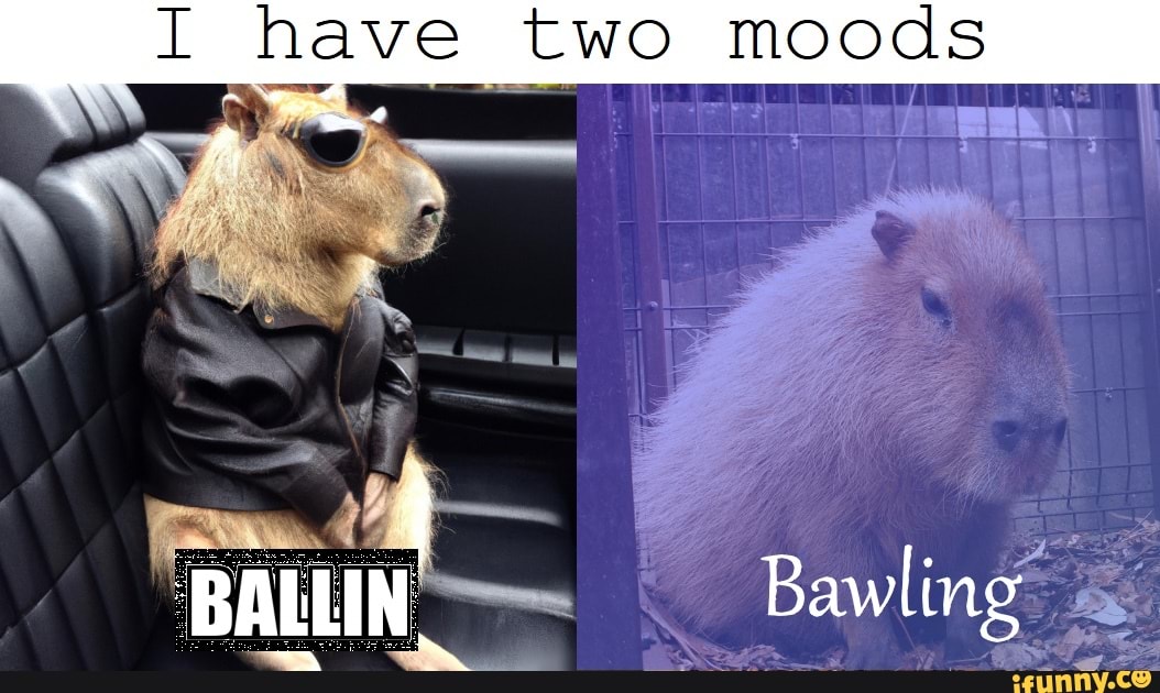 I have two moods BALLIN. Bawling - iFunny